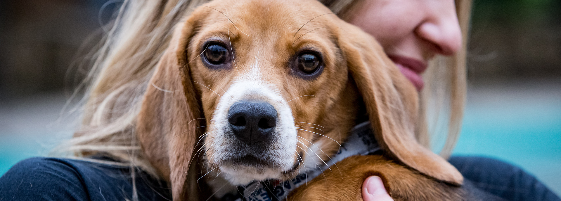 Massachusetts Senate passes bill to promote adoption of research ...