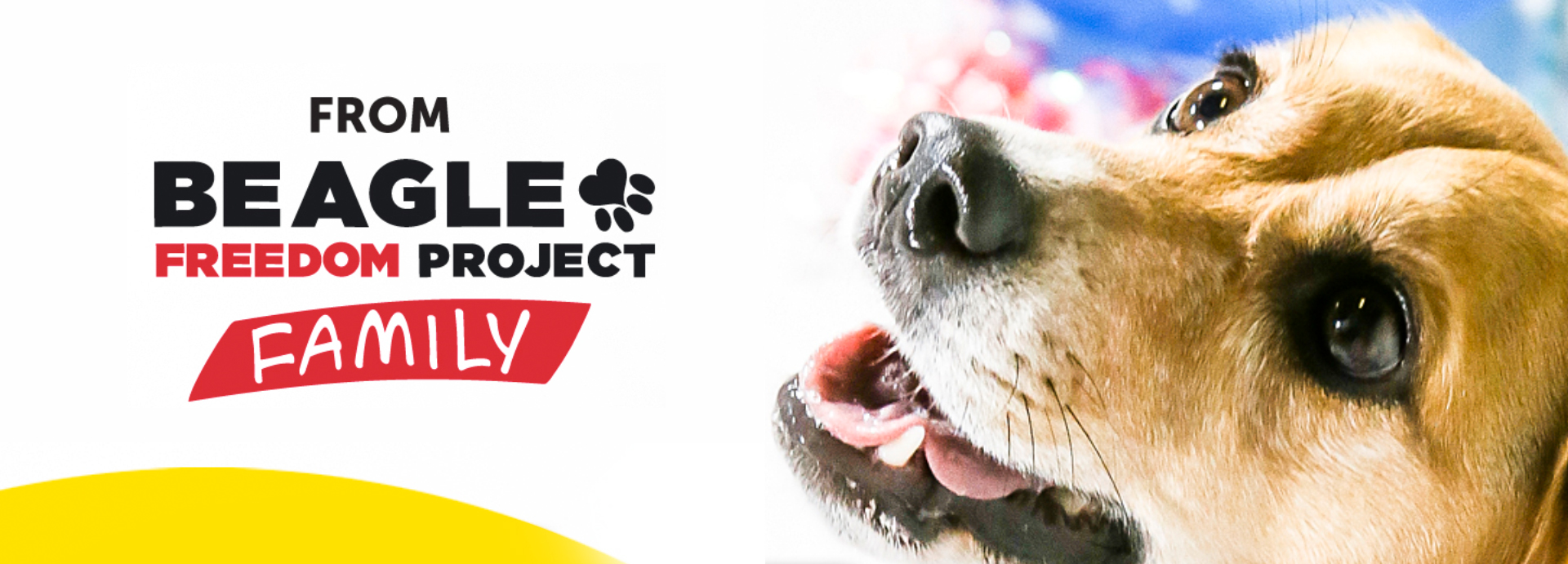 BFP Kids – Beagle Freedom Project