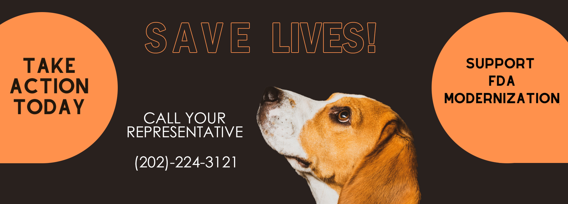 FDA Modernization Act – Beagle Freedom Project