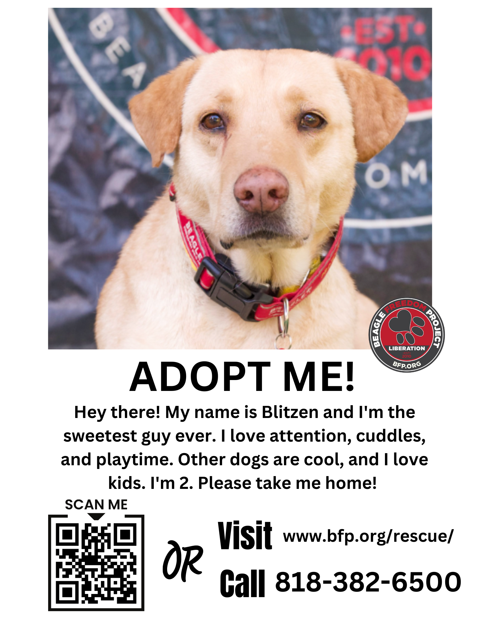 Adopt Me Flyers – Beagle Freedom Project